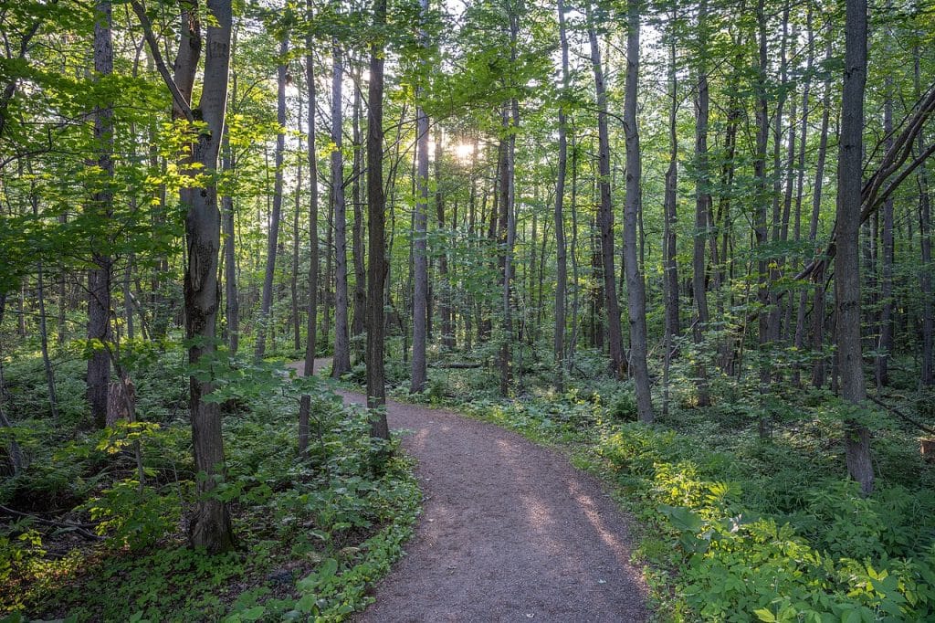 United States - The World Federation of Right to Die Societies